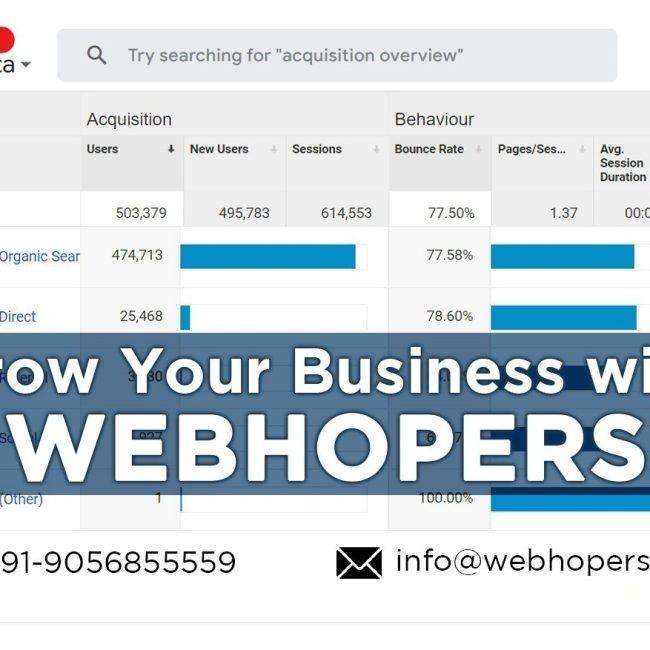 Digital Marketing Company in Chandigarh | WebHopers